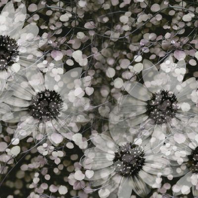 Dekoracja z motywem stokrotek i liści